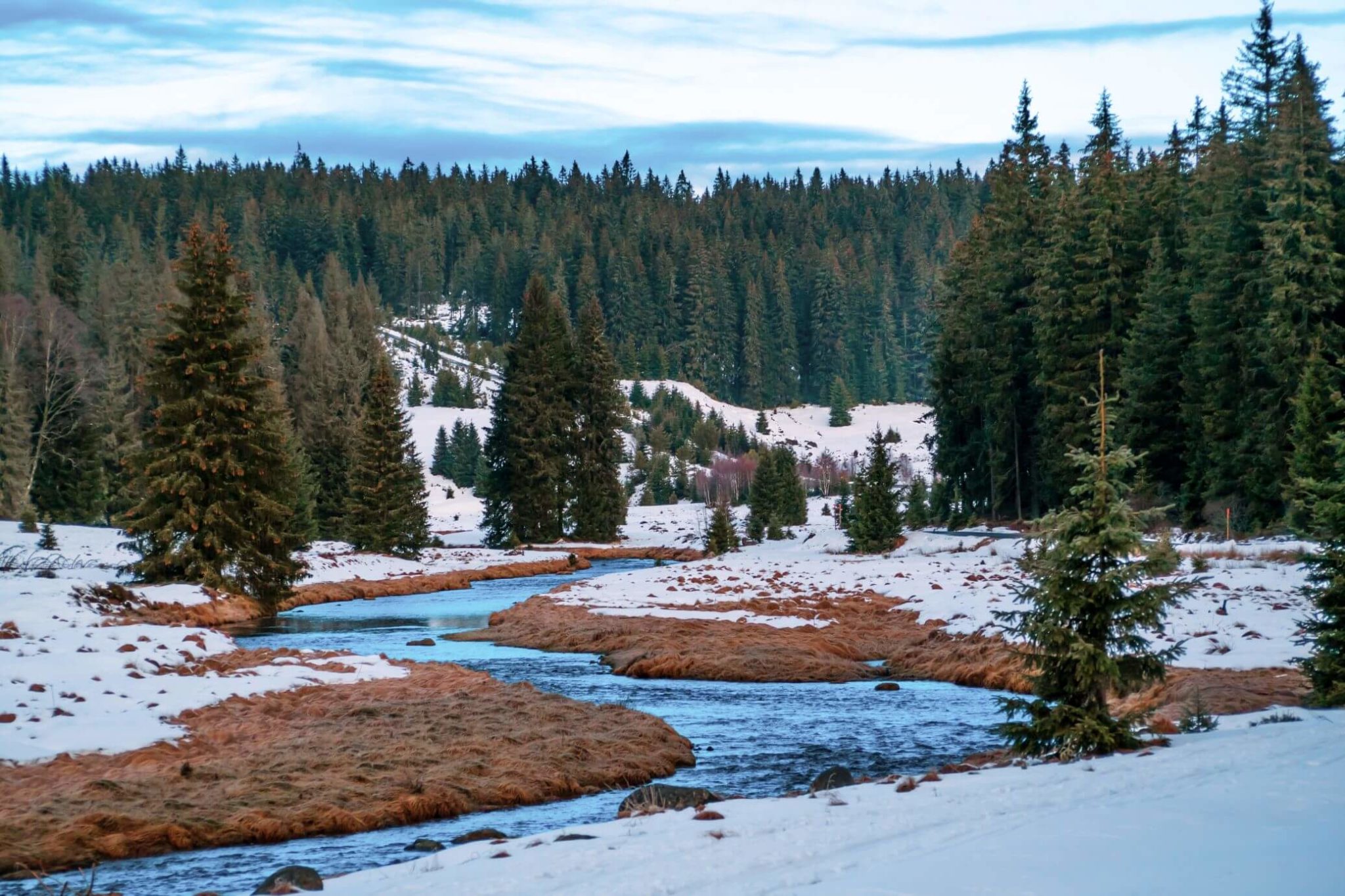 NP Šumava - Modrava, Horská Kvilda, Vydra, slatě | Krauzovi na cestách