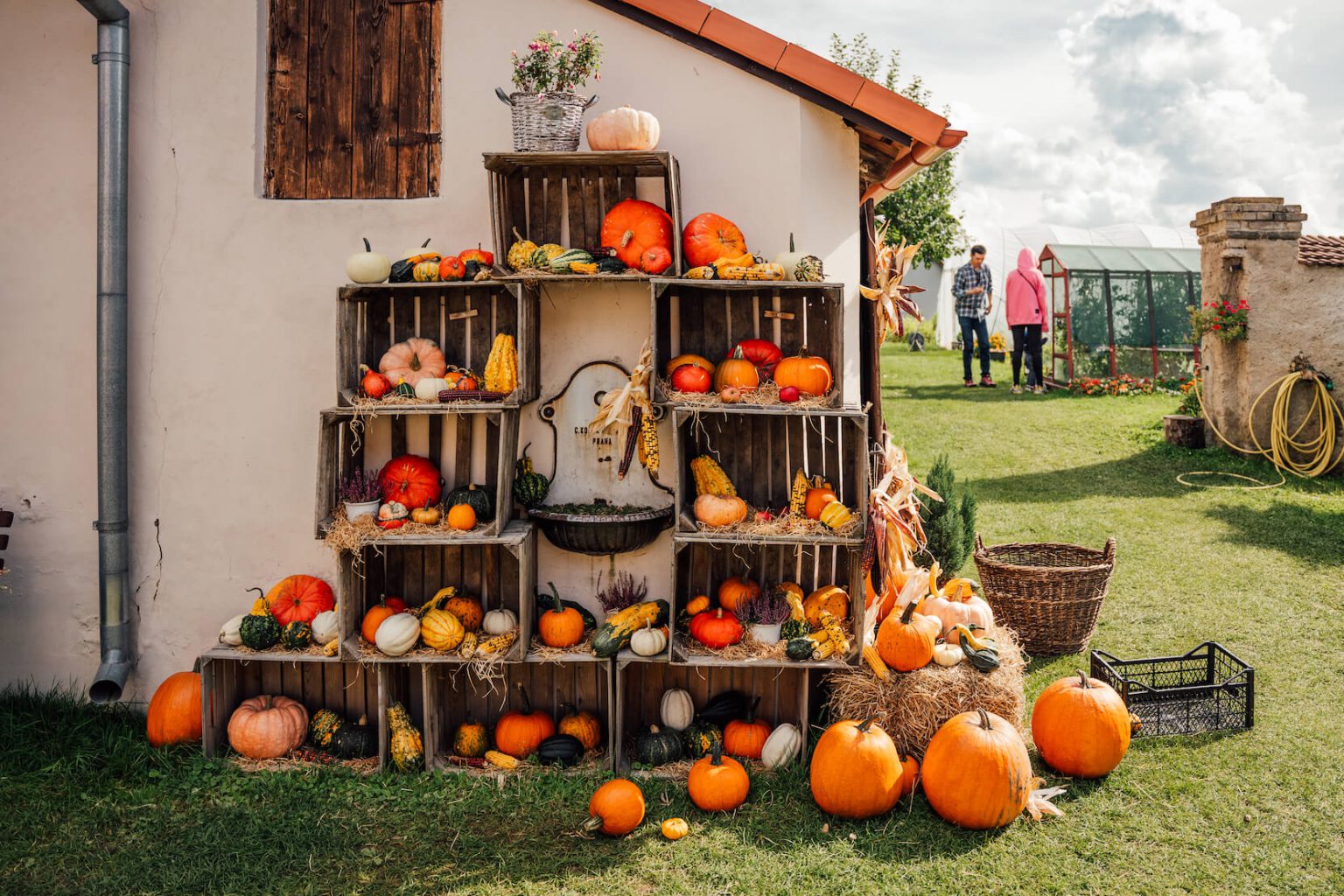 Dýňová farma Bykoš | Krauzovi na cestách