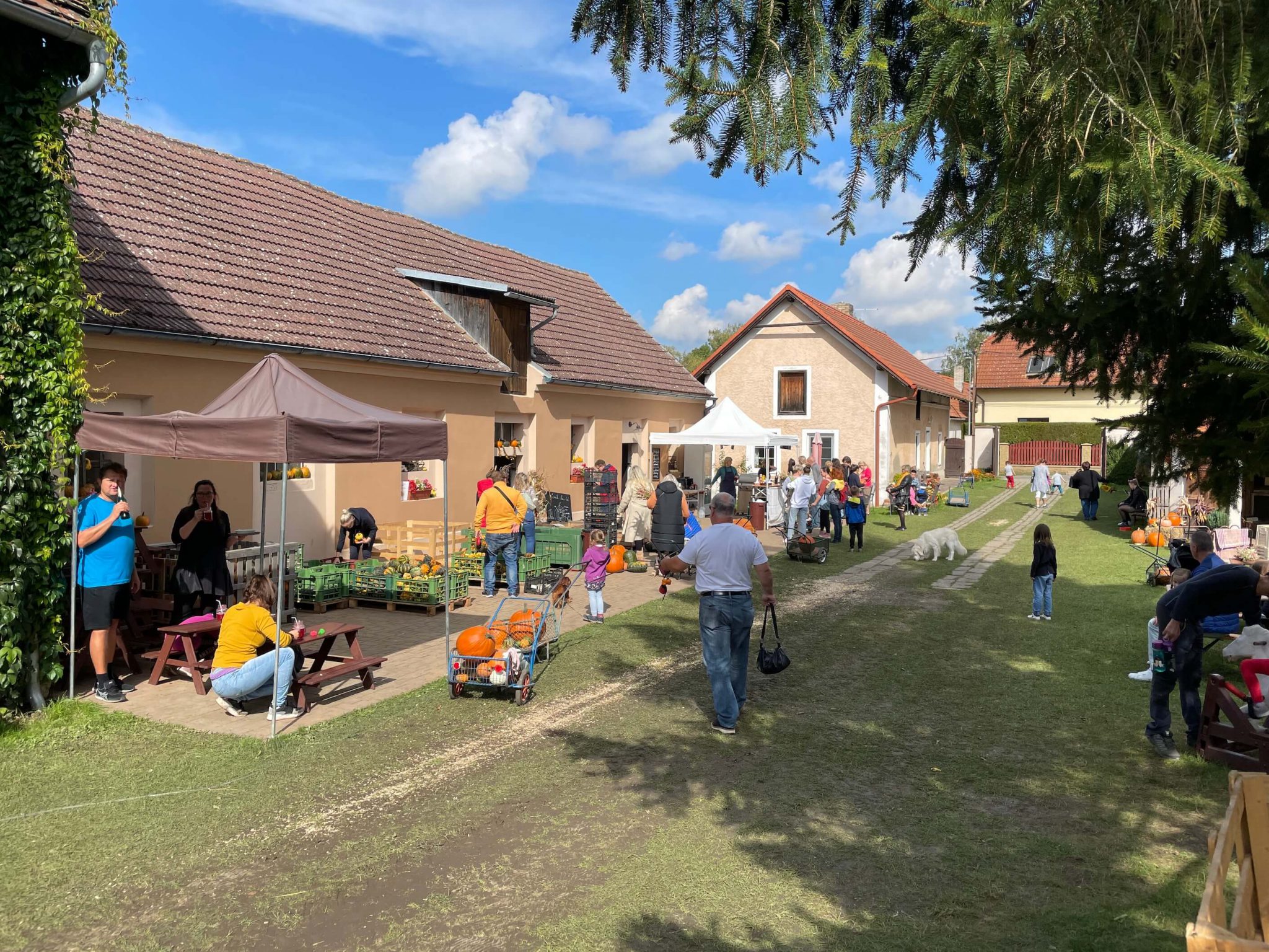 Dýňová farma Bykoš | Krauzovi na cestách